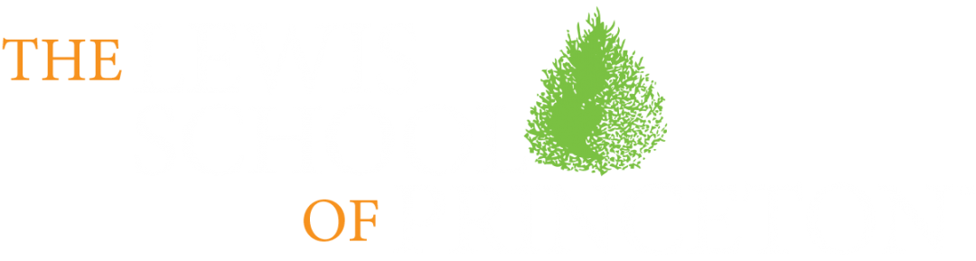 The Lewis School of Princeton - Home